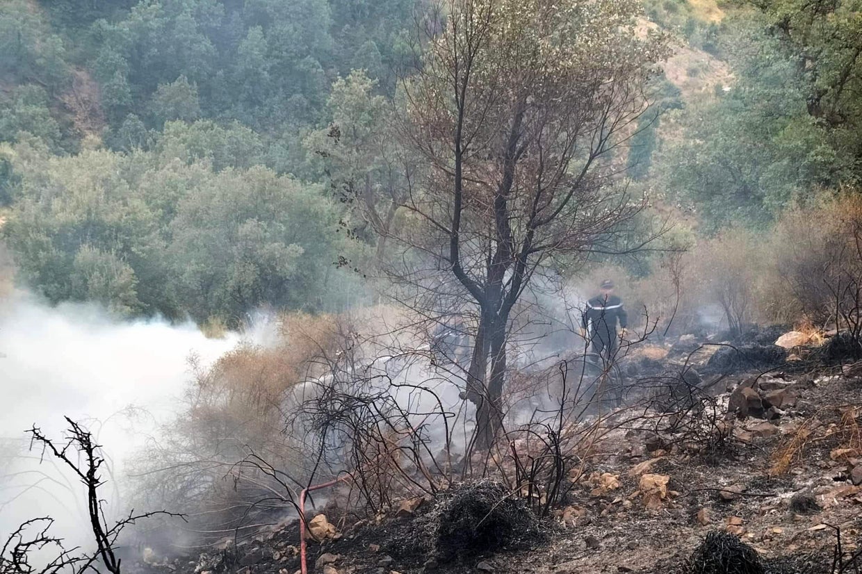 Wildfires kill dozens as they tear through forests in Algeria - CBS News