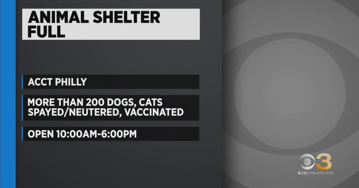ACCT Philly shelters beyond capacities, need help - CBS Philadelphia