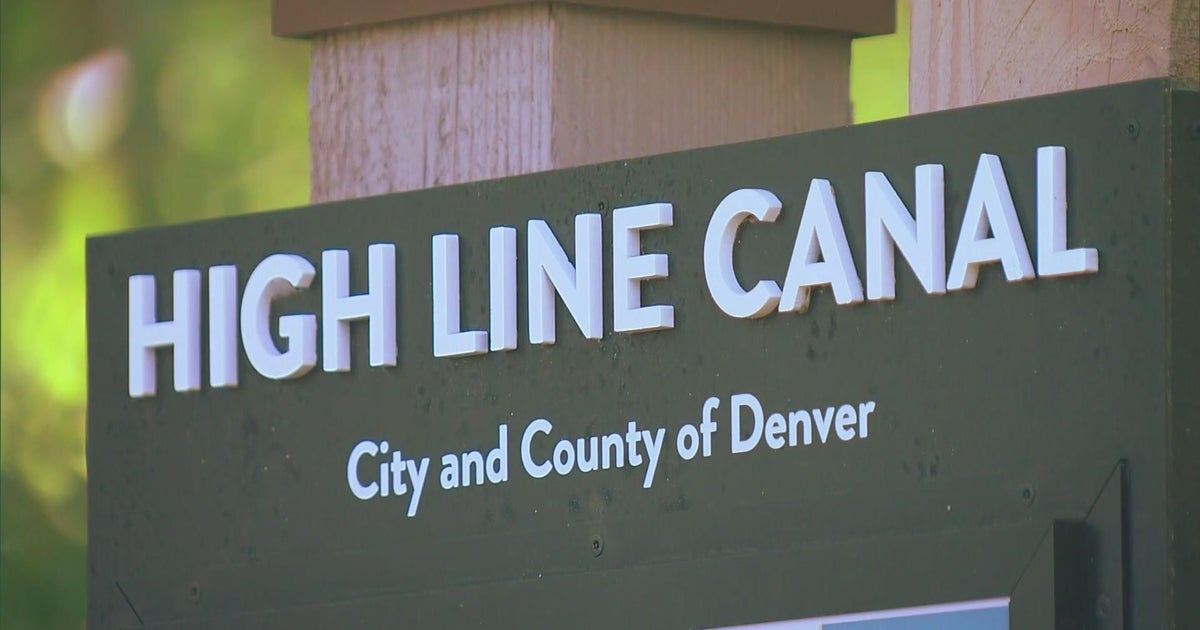 Surge in mosquito larvae in Denver metro area means more mosquitoes ...