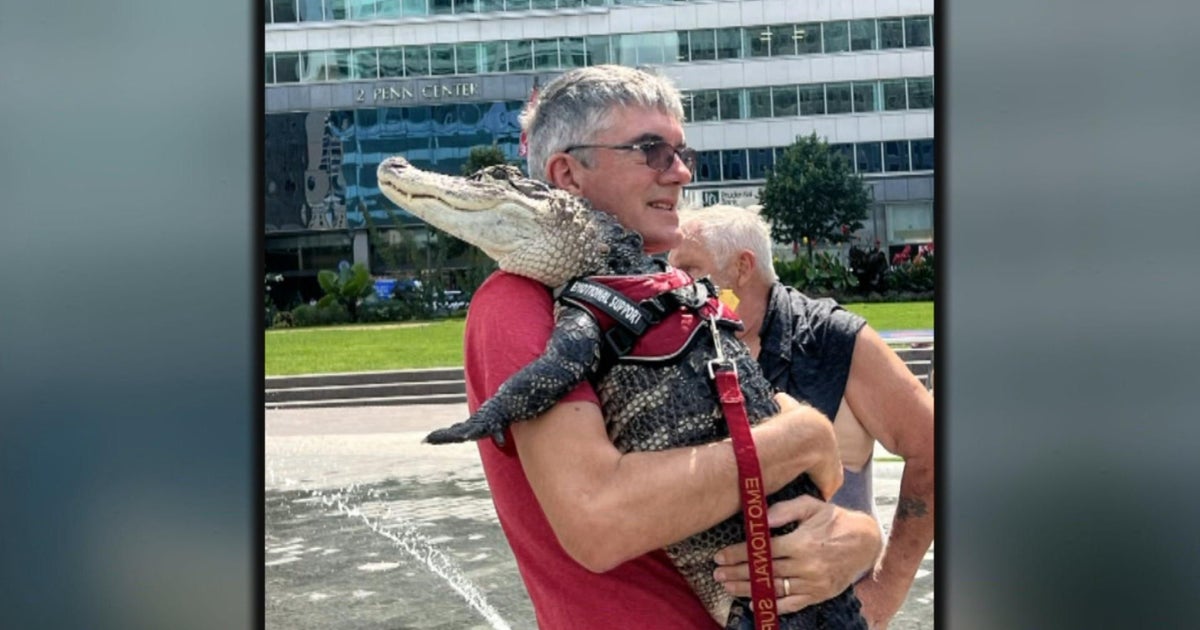 An emotional support alligator cheers up Philadelphians at LOVE Park ...