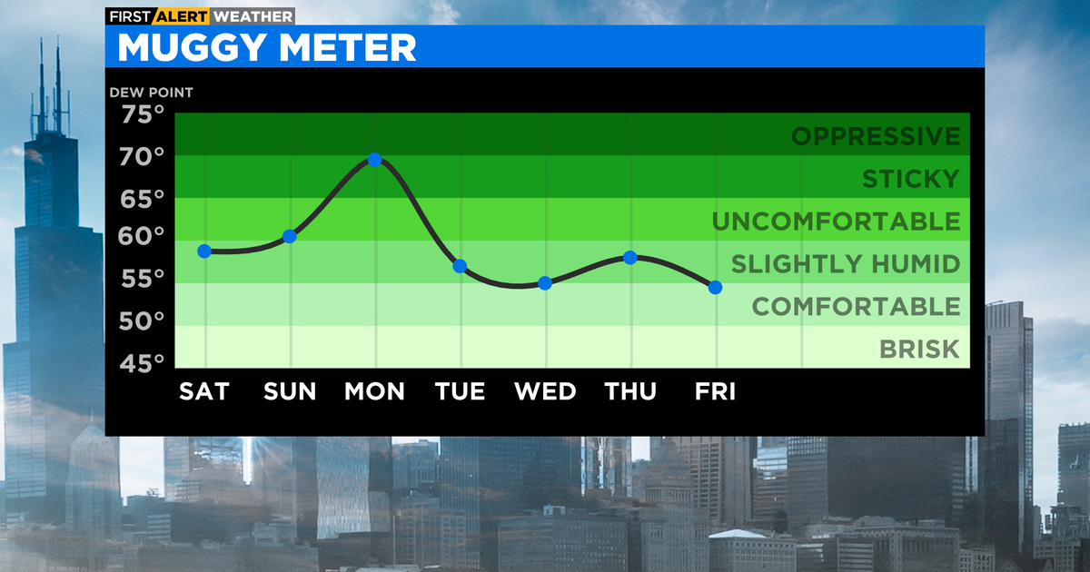 Chicago First Alert Weather: Cloudy Saturday and rainy Sunday - CBS Chicago