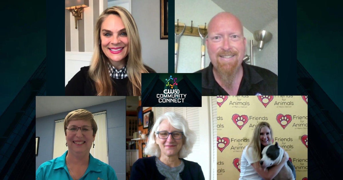 Community Connect: Life-Changing Connections between Dogs and People ...