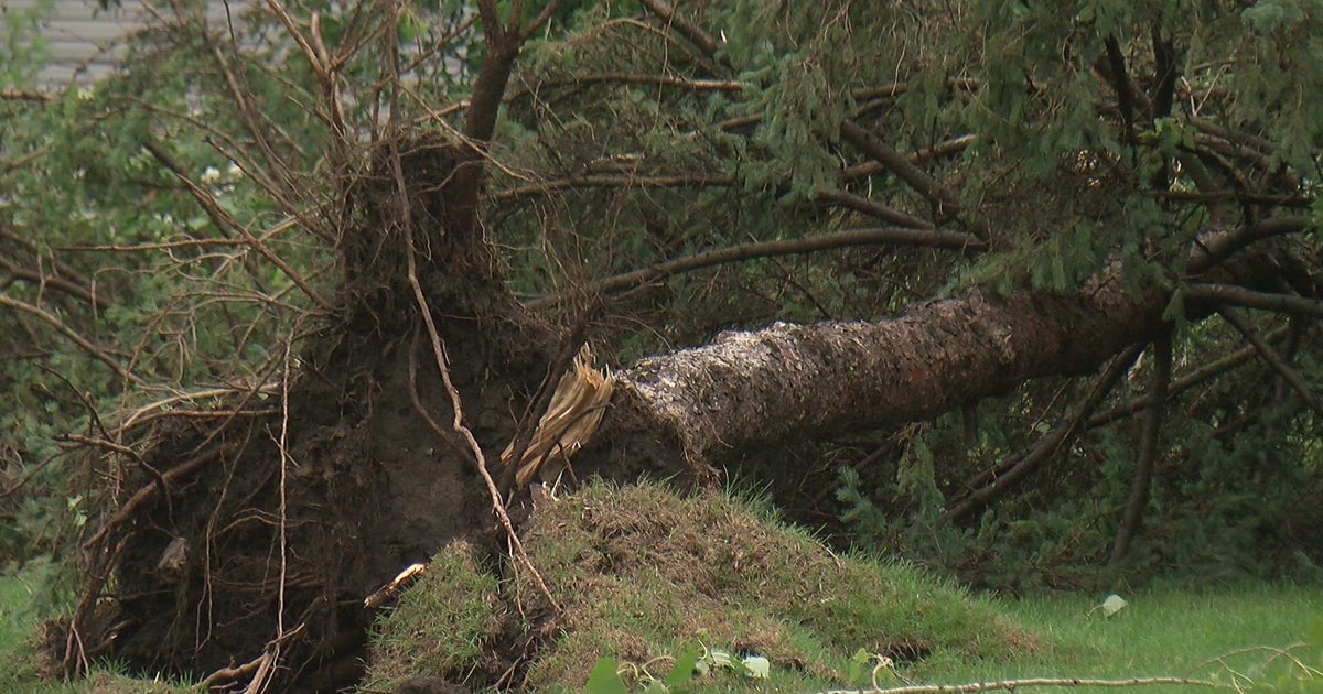NWS: Several EF0 tornadoes moved through Twin Cities Saturday evening ...