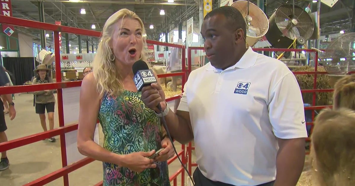 Rebecca Kolls, A.J. Hilton share their best "moo calls" - CBS Minnesota