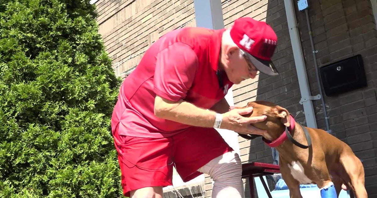 Suspect charged in "random" Sunday shootings, survivor shares story ...