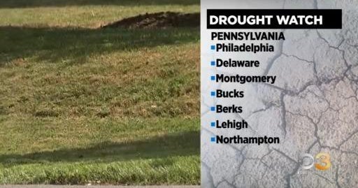 Pennsylvania declares drought watch in 36 counties - CBS Philadelphia