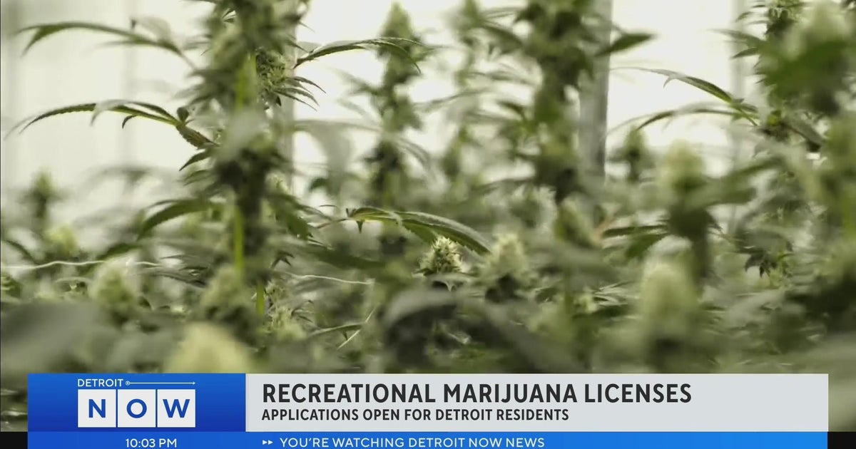 Detroit opens applications for 1st phase of recreational marijuana licenses - CBS Detroit