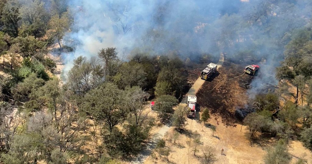 Firefighters stop forward progress on 4.5-acre fire at Del Paso ...