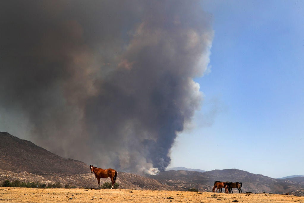 Fairview Fire now 94% contained; all evacuation orders and warnings lifted