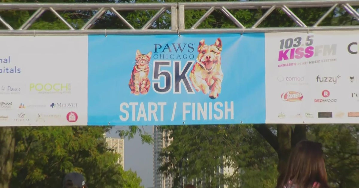 Pets, pet lovers enjoy PAWS Chicago 5K Walk/Run - CBS Chicago