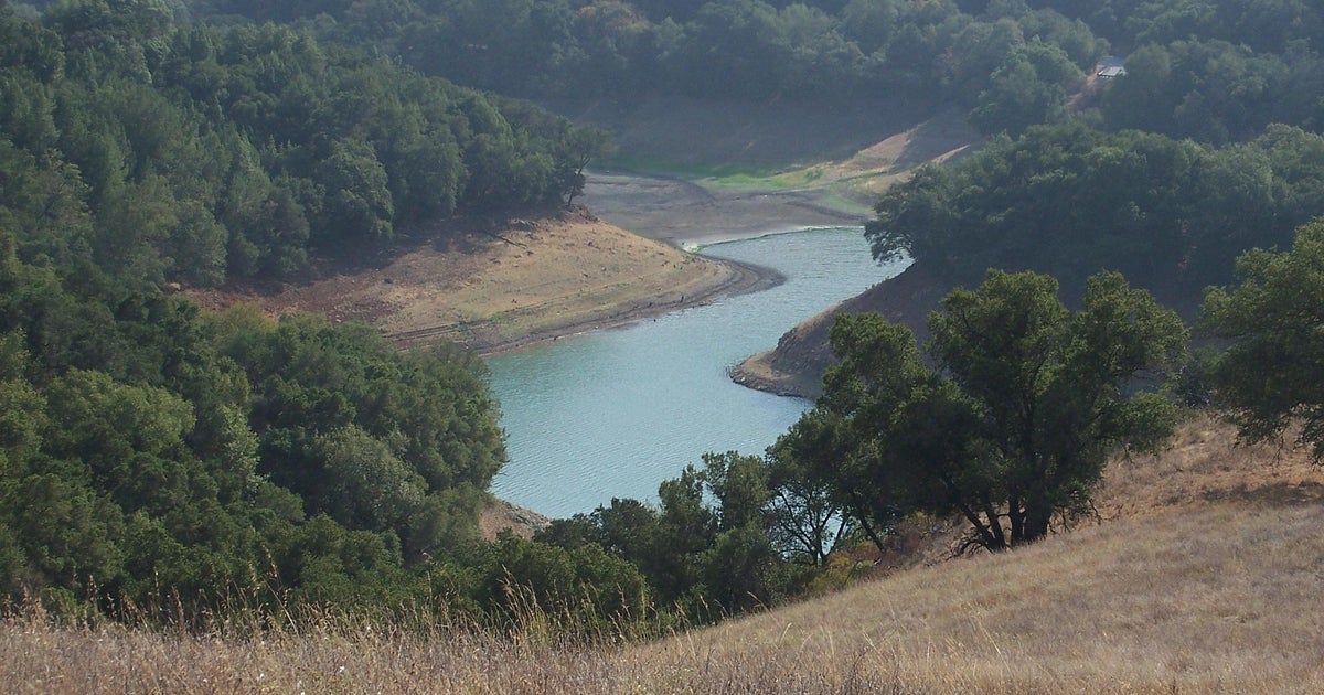 3 hikers hurt when tree topples in San Jose's Almaden Quicksilver ...