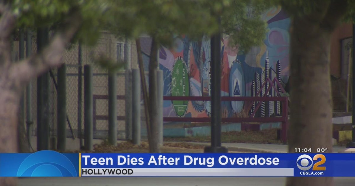 Teenage girl dies of drug overdose at Bernstein High School in ...