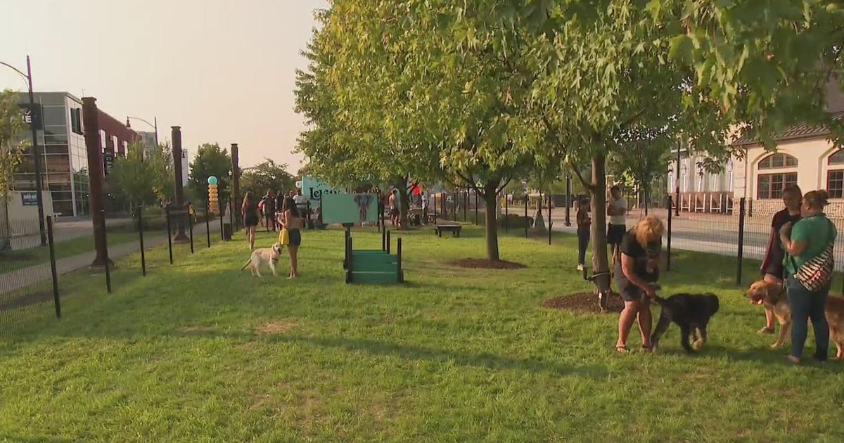Dog park with mobile taproom opens in Pittsburgh - CBS Pittsburgh