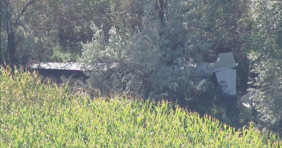 NTSB report: two planes touched wings before crashing and killing all ...