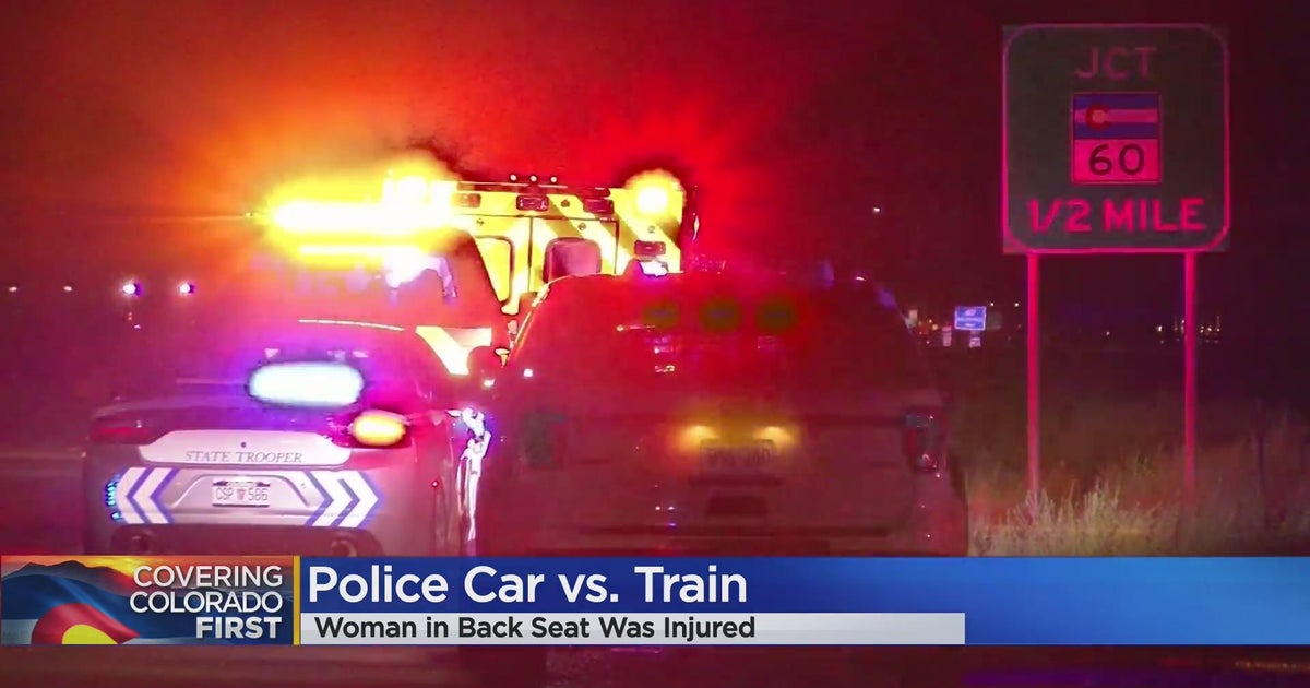 Woman who was in back seat of police car was hurt when train crashed ...