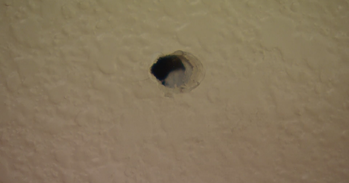 Bullet holes remain in house's walls days after random, 'unsettling ...