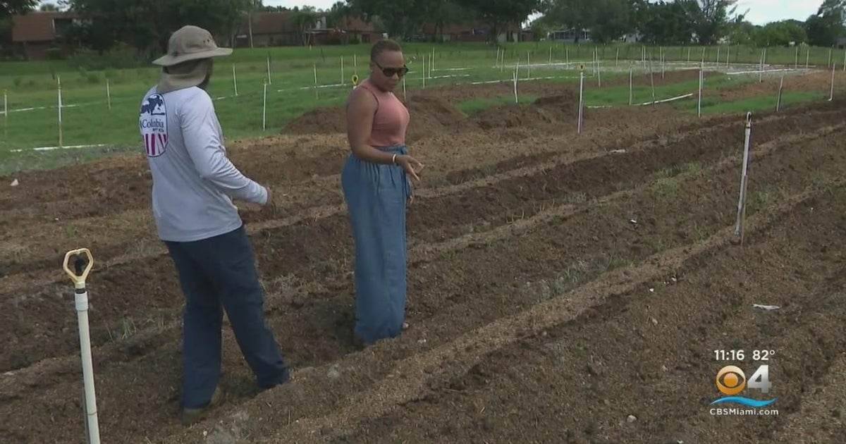 Small farm program helps veterans by planting seeds for promising ...