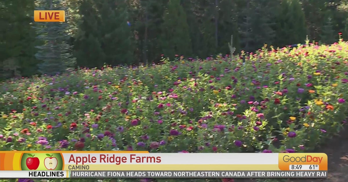 Apple Ridge Farms in Camino - Good Day Sacramento