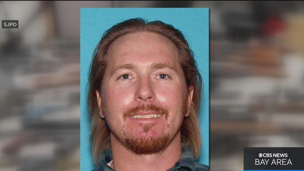 Domestic violence call leads to police busting alleged 'gun factory' in ...