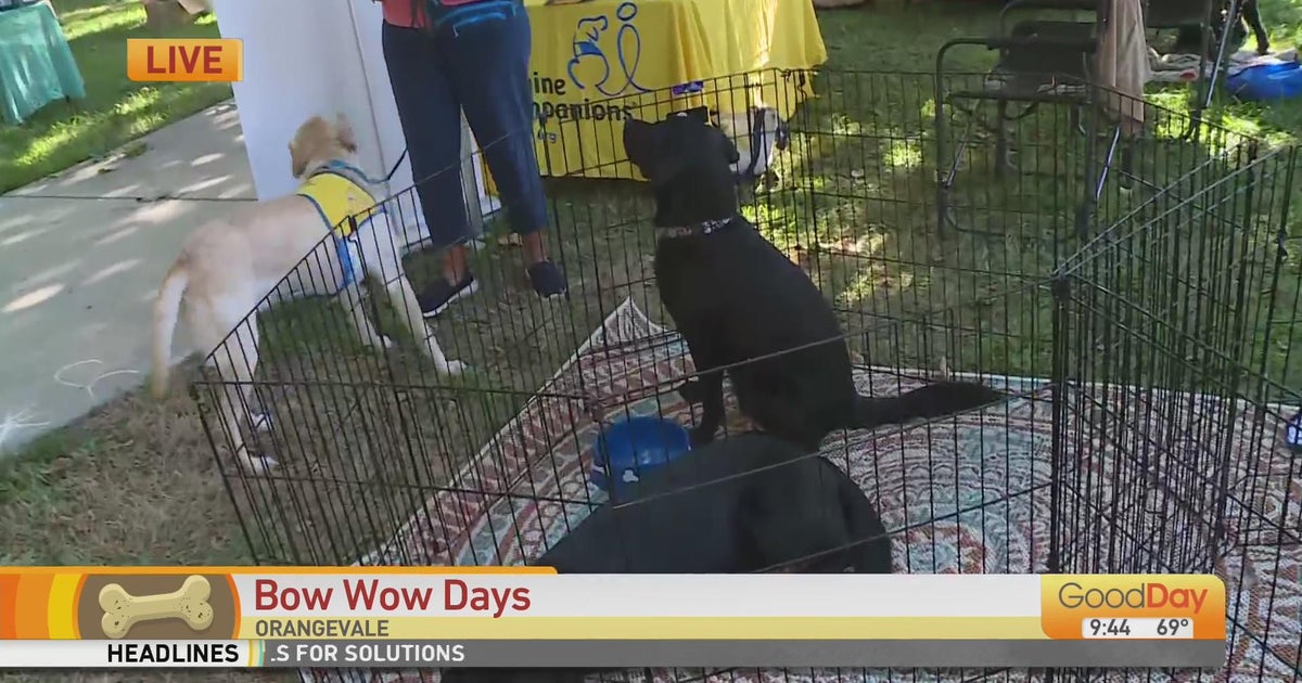 Bow Wow Days - Good Day Sacramento