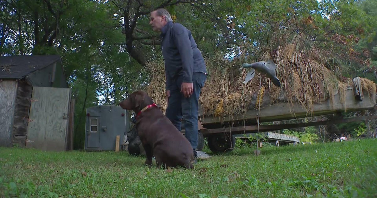 WCCO photojournalist Joe Berglove, dog Remmy train for duck and goose ...