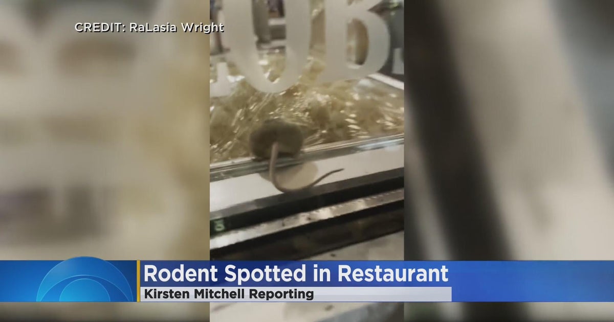 Stella's Fish Café temporarily closes after viral rodent video - CBS ...