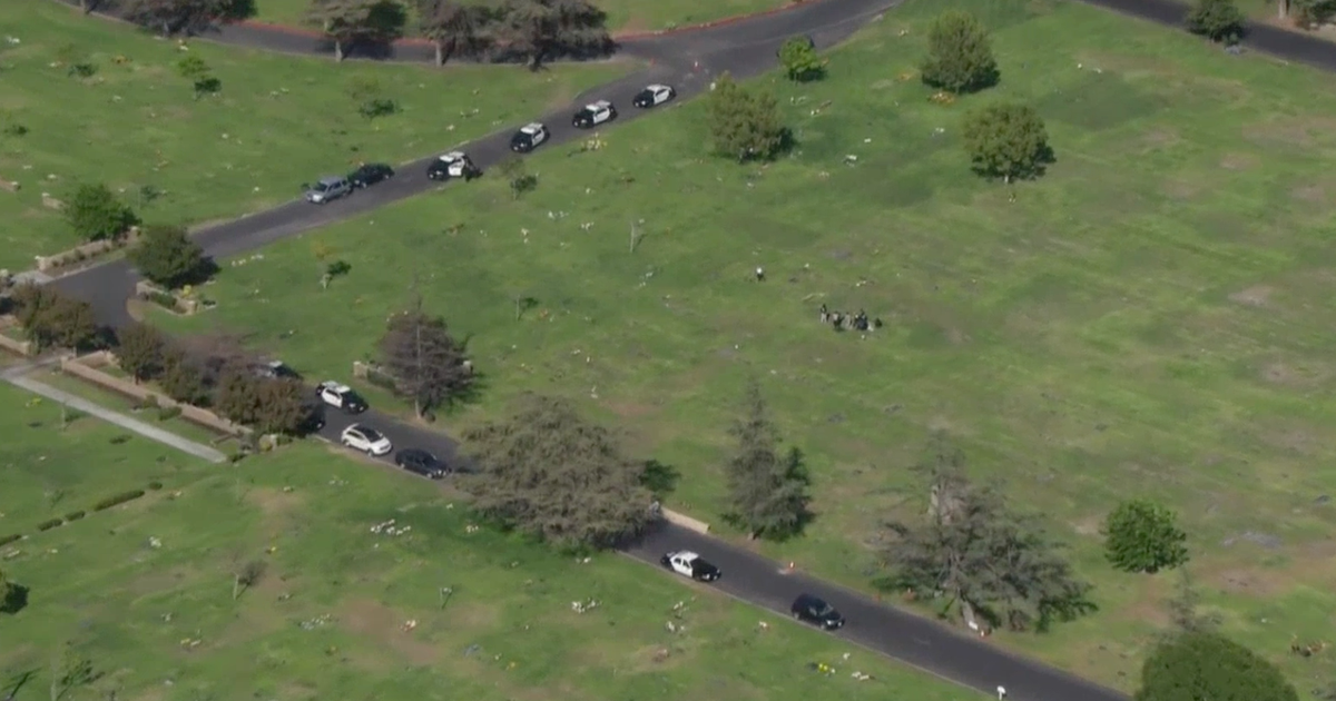 Reports of fight at Valhalla Mortuary in North Hollywood draws large ...