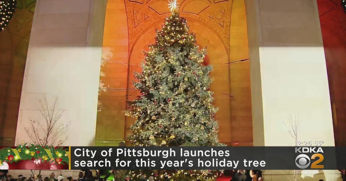 City of Pittsburgh searching for this year's holiday tree - CBS Pittsburgh