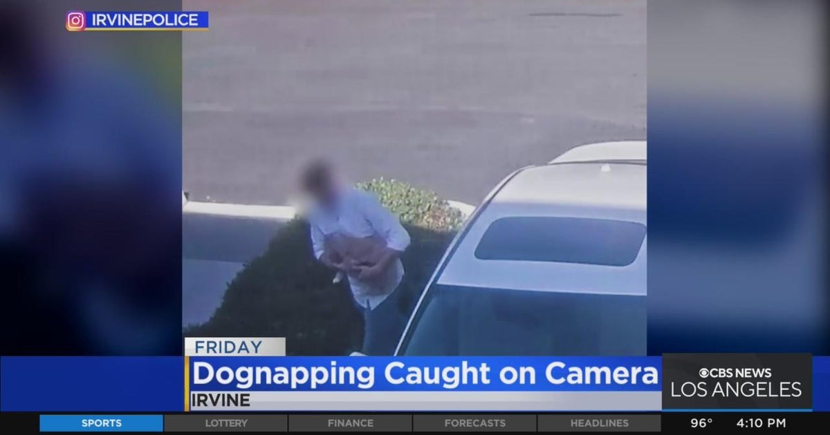 Caught on Camera: Dognapper steals dog from back of vehicle in Irvine ...