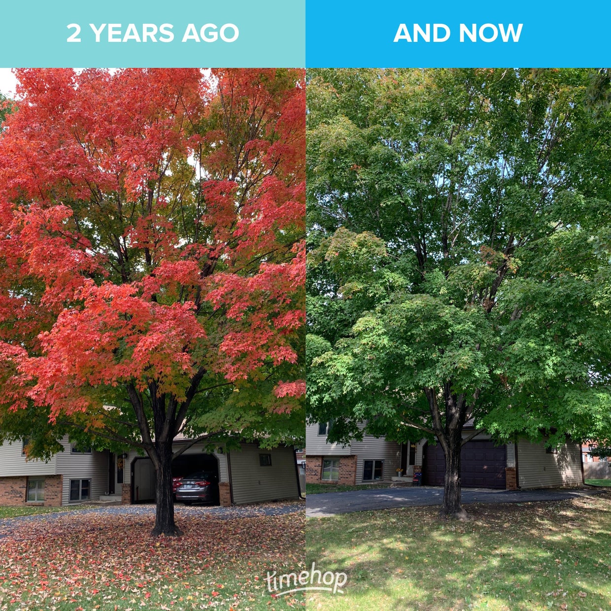 Fall colors peaking later in 2022 compared to recent years - CBS Minnesota