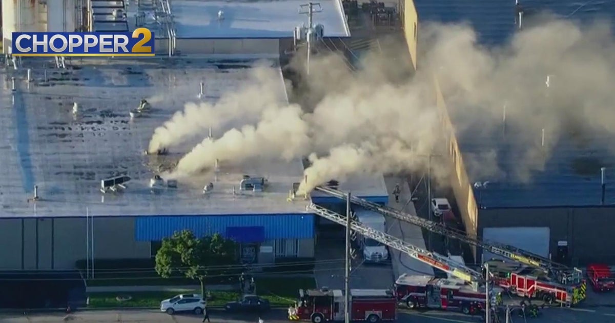 Investigation underway after fire breaks out at bakery factory in ...