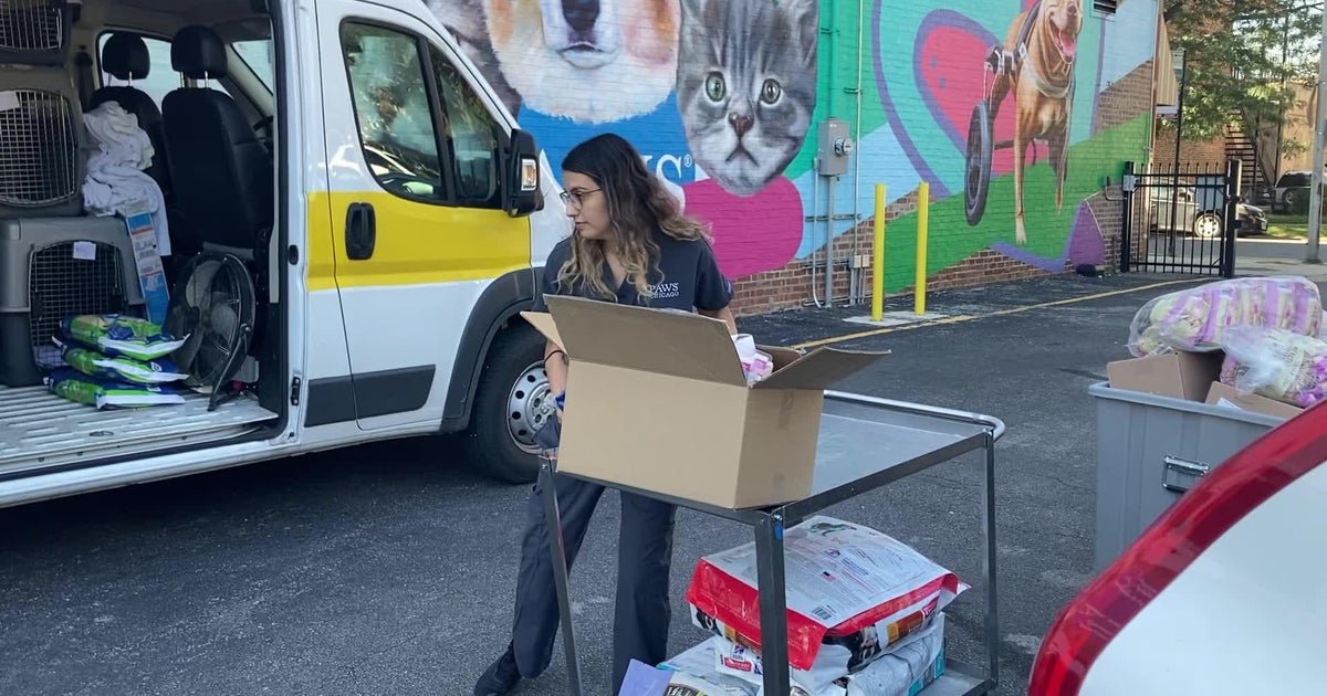 PAWS Chicago to rescue animals abandoned after hurricane - CBS Chicago