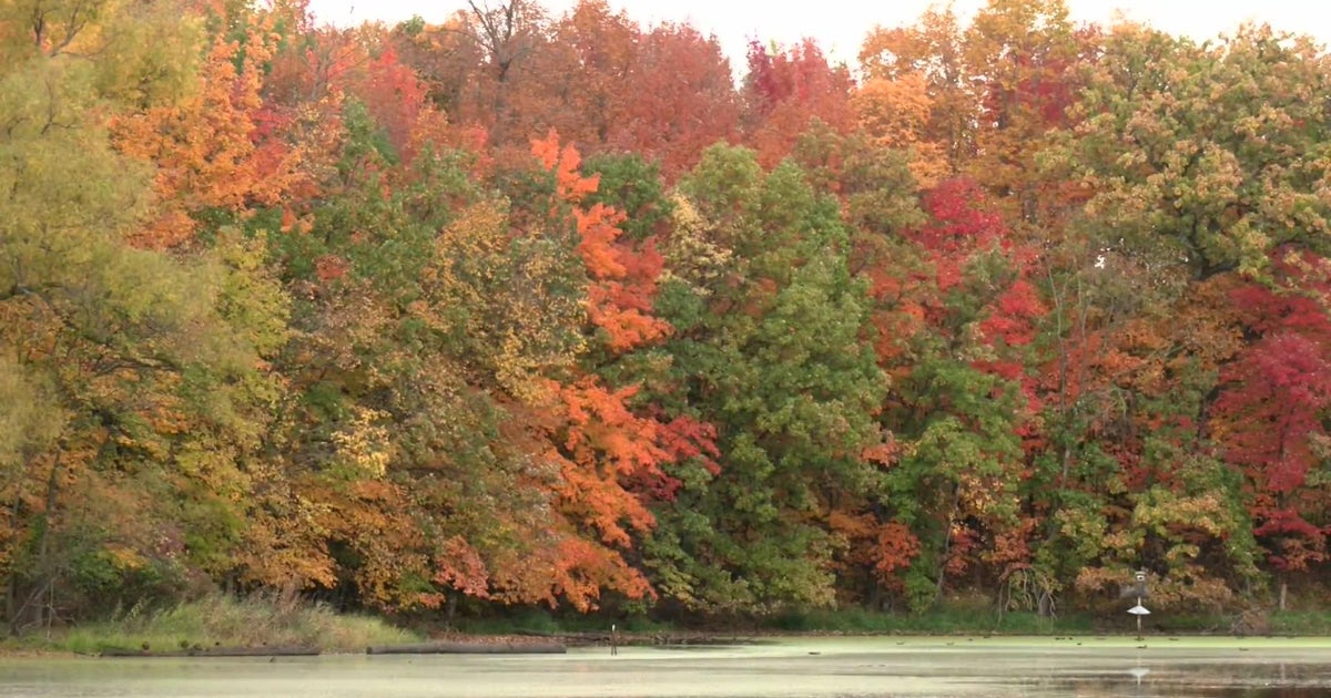 Glorious fall colors are on full display after delay in season - CBS ...
