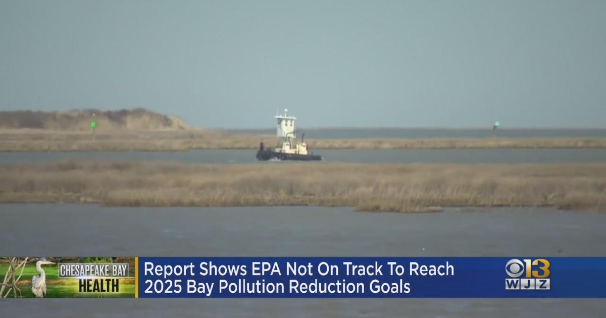 EPA not on track to meet pollution reduction goals for Chesapeake Bay ...