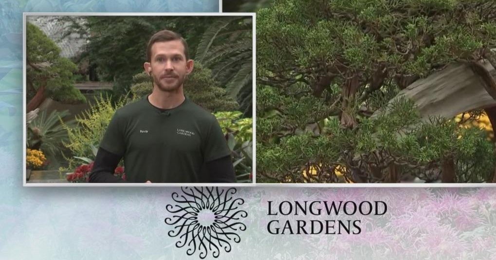 WATCH: Horticulture specialty grower at Longwood Gardens talks ...