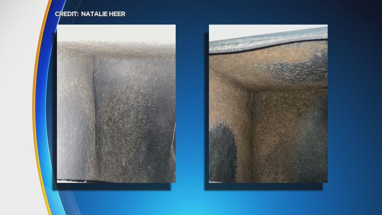 University of Minnesota confirms mold growth in freshman dorm vents ...