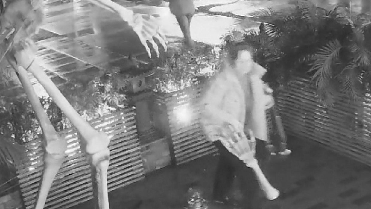 Cambridge restaurant offers reward for return of giant skeleton arm ...