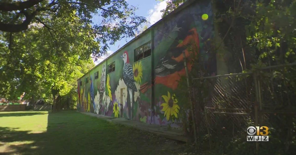Community MVP: Turning vacant lots into safe spaces for Baltimore ...