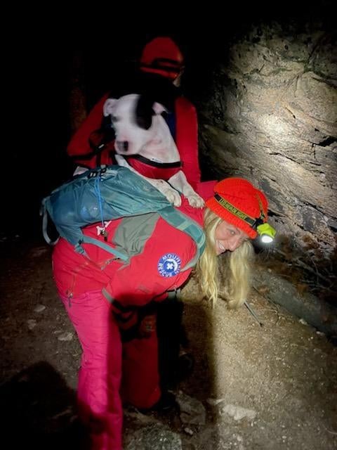 Rescuers haul out dog suffering from altitude sickness - CBS Colorado