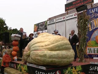 largest pumpkin pie weight