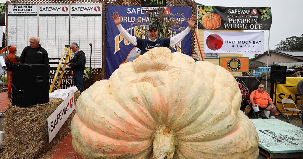 Anoka man sets pumpkin weight record in California with 2,560-pound ...