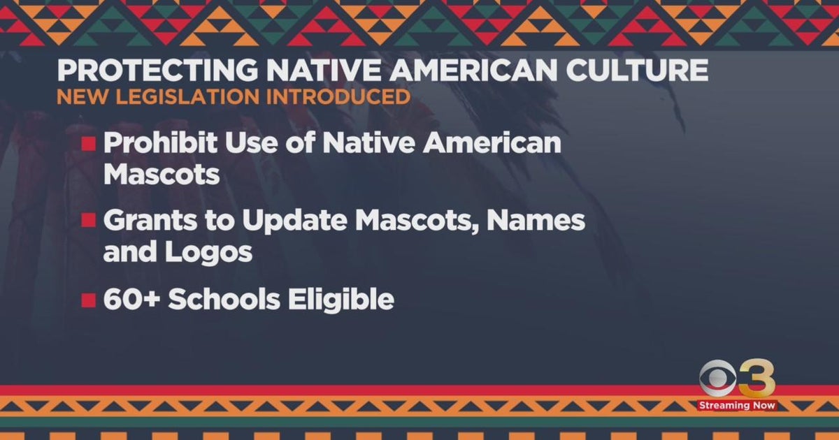 Pennsylvania lawmaker proposes banning Native American mascots, names ...