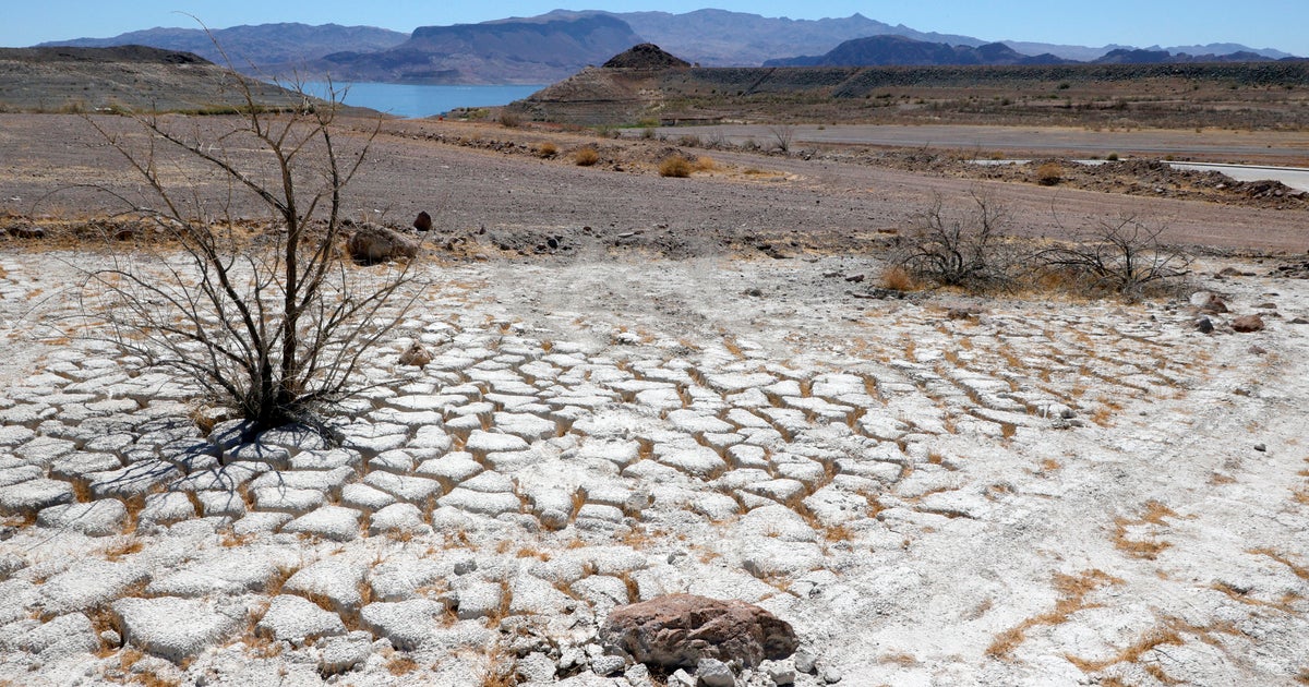 New US plan could lead to federal action on Colorado River - CBS Colorado