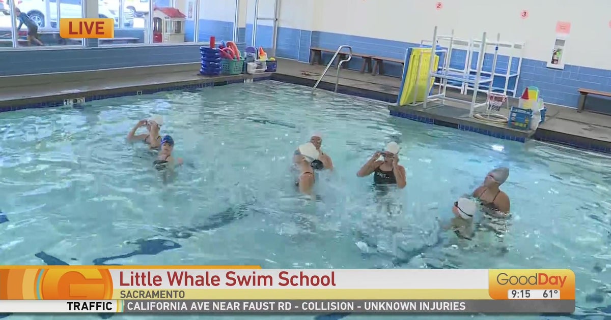 Little Whale Swim School - Good Day Sacramento