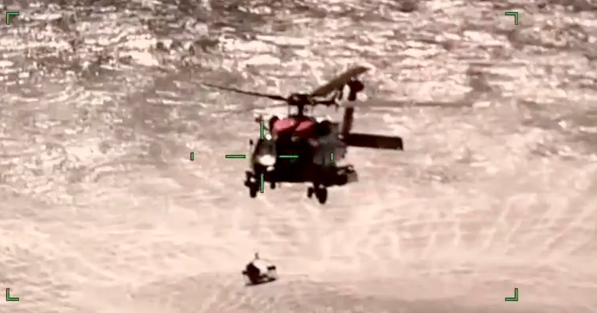 Will to live and life jackets: Boaters shark-infested waters, attacks ...