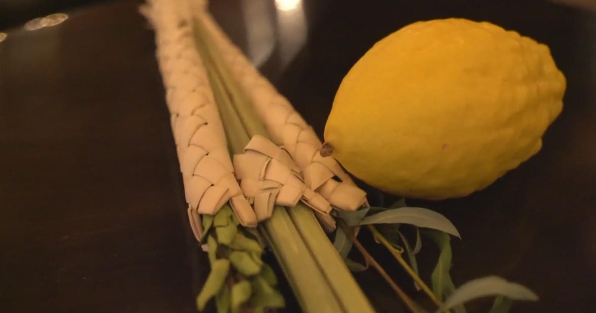 Sukkot is a Jewish celebration of the harvest - CBS Colorado
