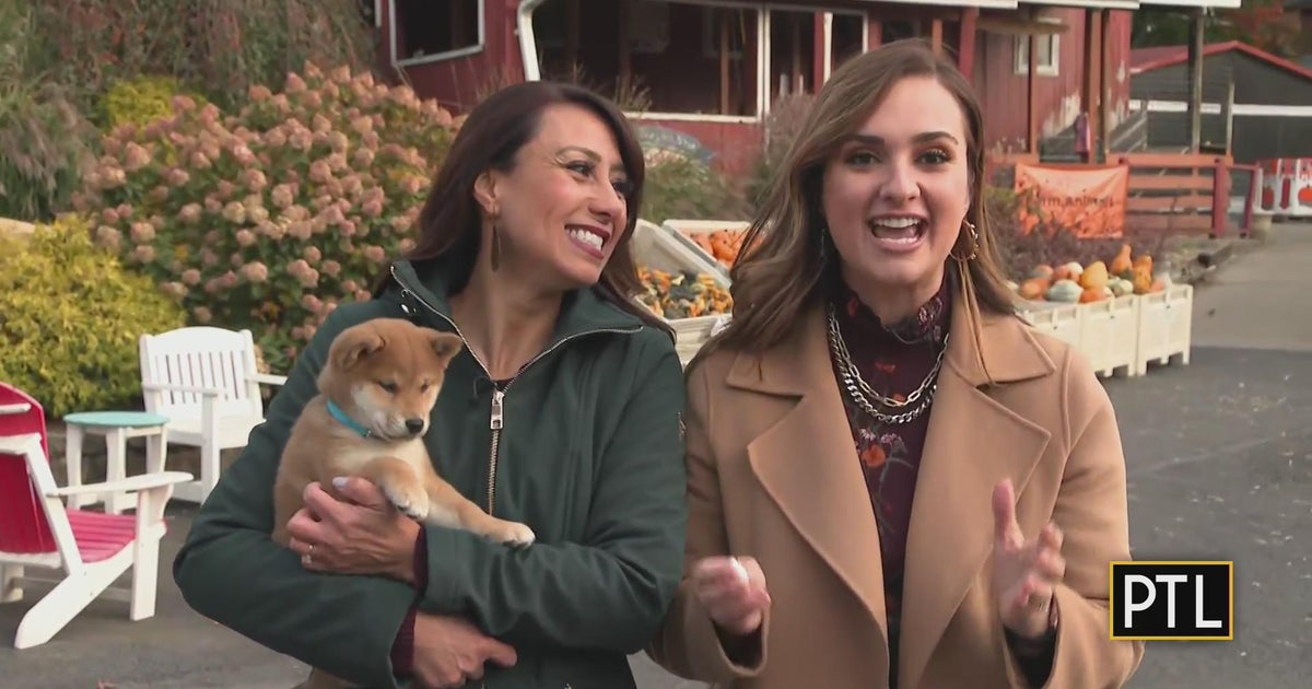 Pittsburgh Today Live Chat: Oct. 17, 2022 - CBS Pittsburgh