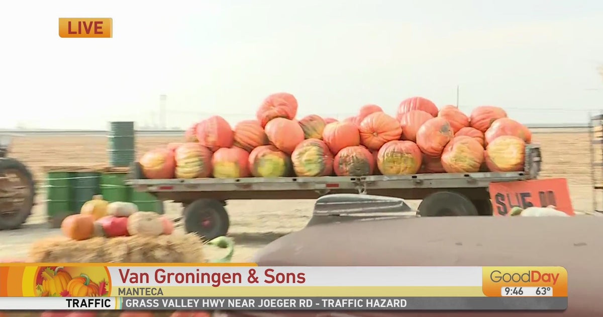 Van Groningen & Sons - Good Day Sacramento