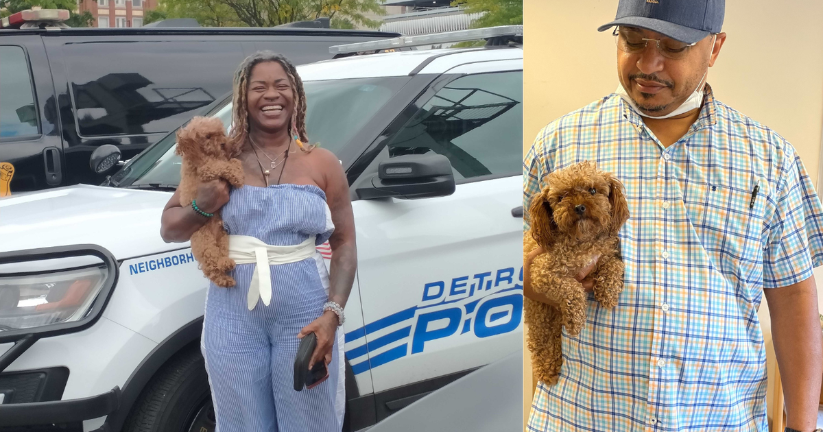 Dog reunited with family after being stolen in Detroit - CBS Detroit