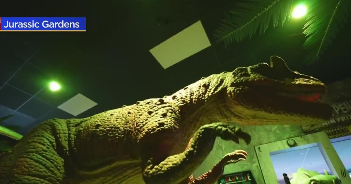 Jurassic Gardens In Volo Hosting Sensory Friendly Dinosaur Display Cbs Chicago